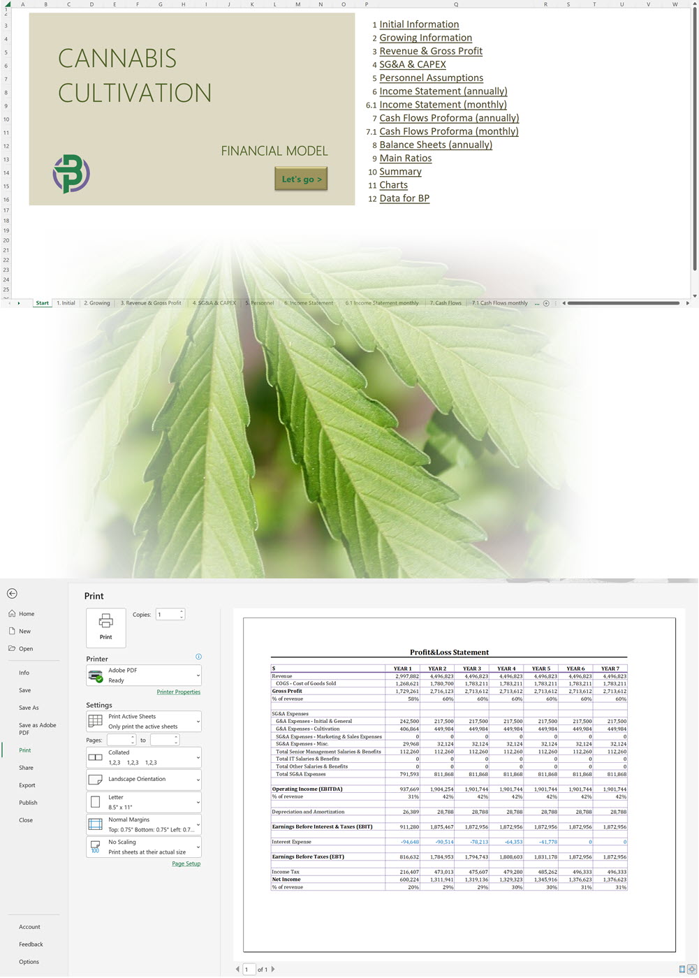 Cannabis Cultivation Financial Model – Business Plan Templates Canada
